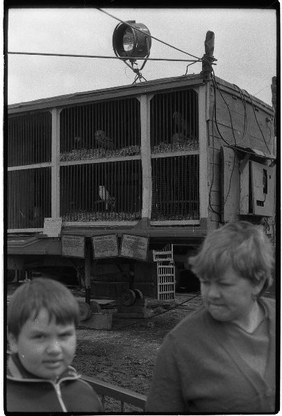 Фото "Клетка с попугаями. Передвижной зверинец", 26 мая 1984, г ...