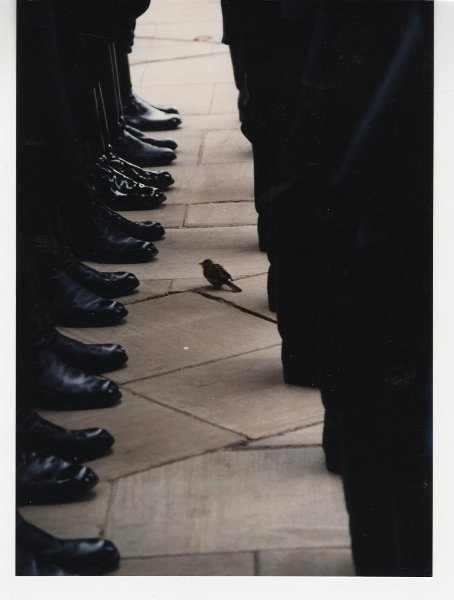 Фото "На съемках фильма «Сибирский цирюльник»", июль 1997, г. Москва ...