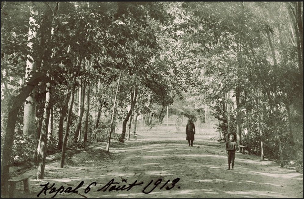 Фото "Копал. Городской парк", 6 августа 1913, Семиреченская обл ...